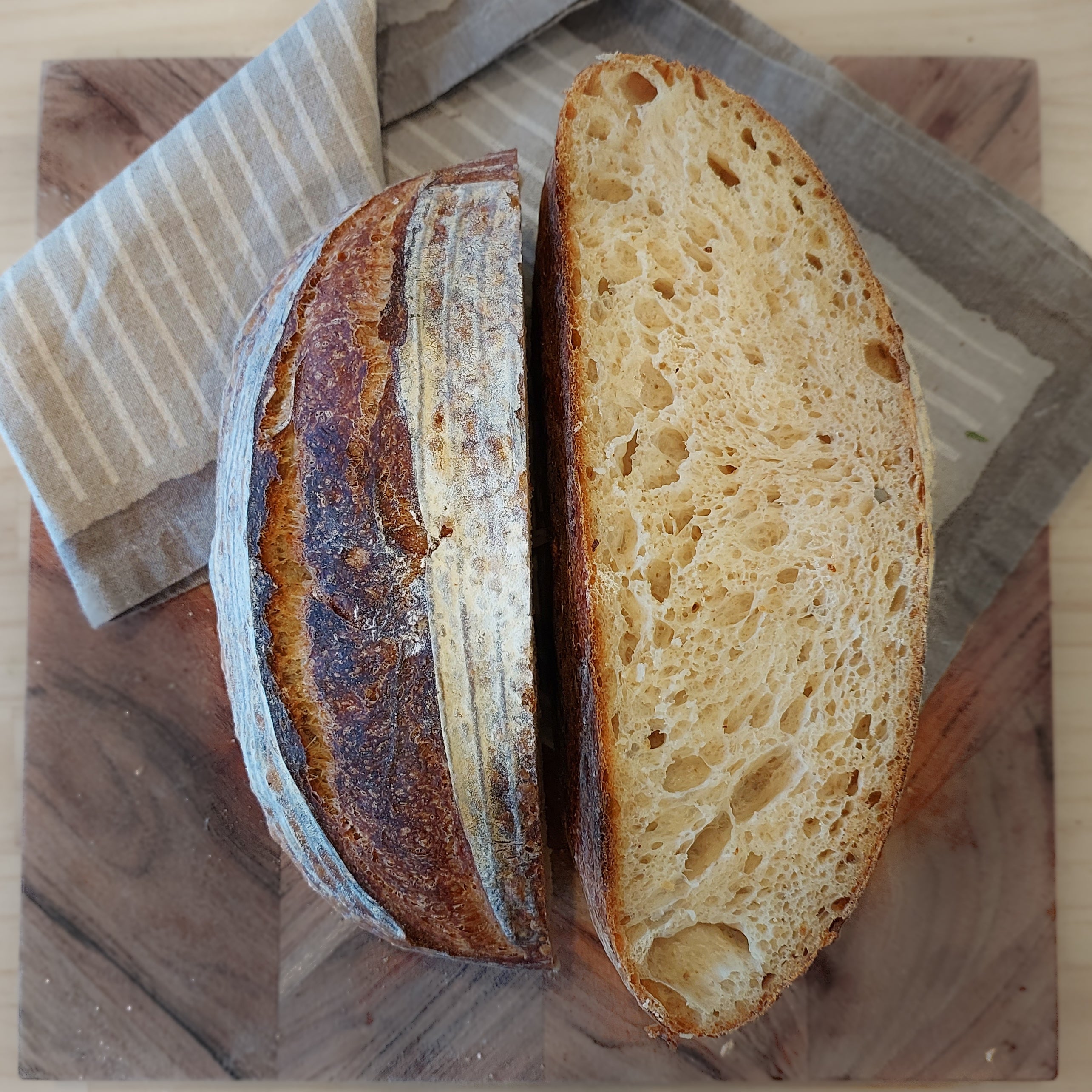 Crusty White Sourdough – All You Knead